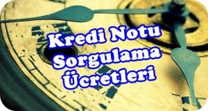 Kredi Notu Sorgu Ücreti Ne Kadar? | Kredi Ve Finans Portalı